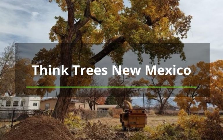 Think Trees New Mexico | Legacy Tree Company