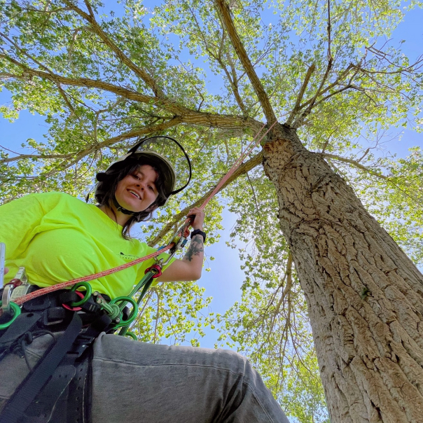 About Us | Legacy Tree Company